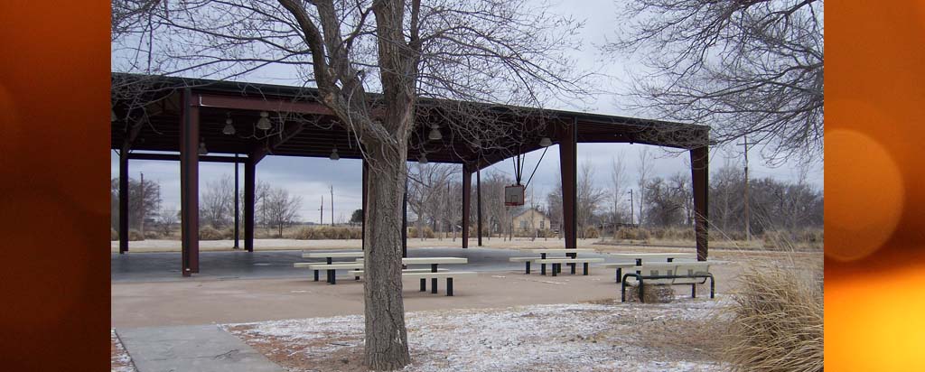 Explore Library Services in Tatum - Town of Tatum